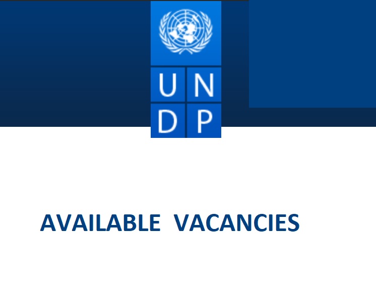 Consultant Research and Data Analysis Officers at the United Nations ...