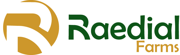 Oil Palm Production & Maintenance Supervisor at Raedial Farms Limited